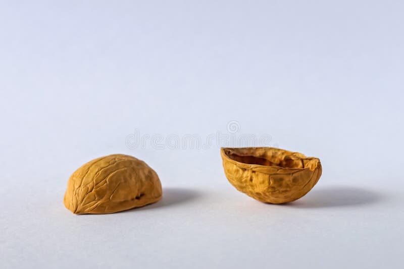 180 Walnut Parts Stock Photos - Free & Royalty-Free Stock Photos from ...