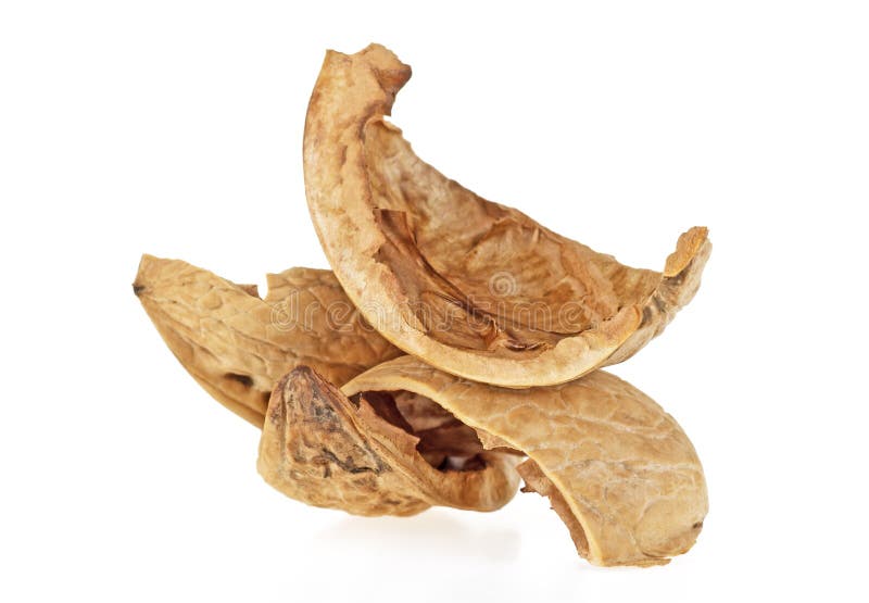 Empty Walnut Shells Isolated on White Background Stock Photo - Image of ...