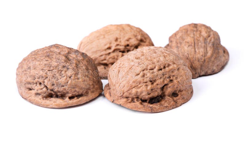 Empty walnut shells stock image. Image of natural, object - 175264413