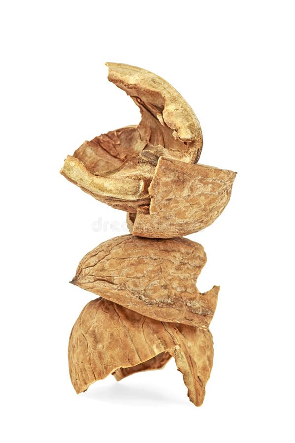 Empty Walnut Shells Isolated on White Background Stock Photo - Image of ...