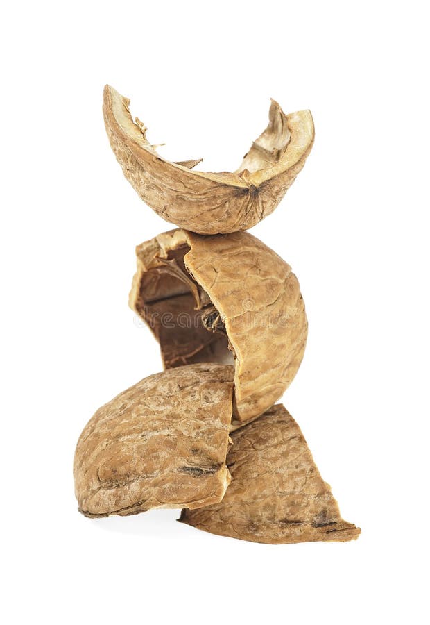 Empty Walnut Shells Isolated on White Background Stock Image - Image of ...