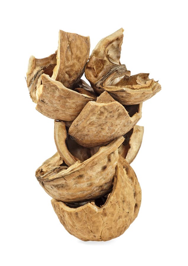 Empty Walnut Shells Isolated on White Background Stock Image - Image of ...