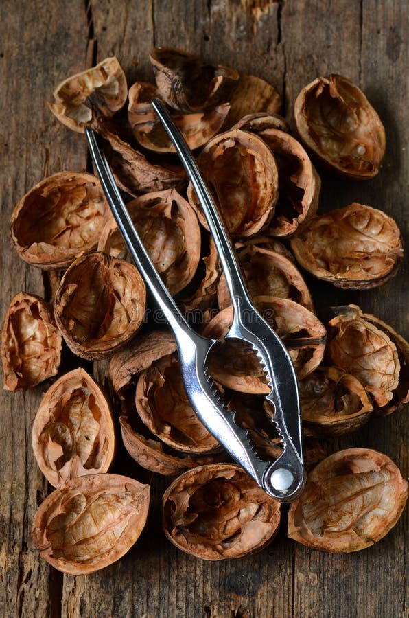 Empty walnut shells stock photo. Image of closeup, brown - 64869954