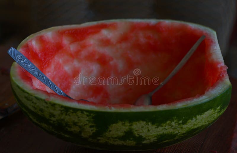 Empty watermelon peel stock photo. Image of melon, juicy - 229067460
