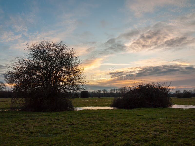 Empty Wet Grass Field Low Light Sunset Landscape Dedham Plain Em Stock ...