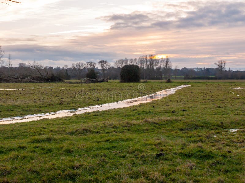 Empty Grass Land Country Trees Blue Sky Clouds Landscape Plain Stock ...
