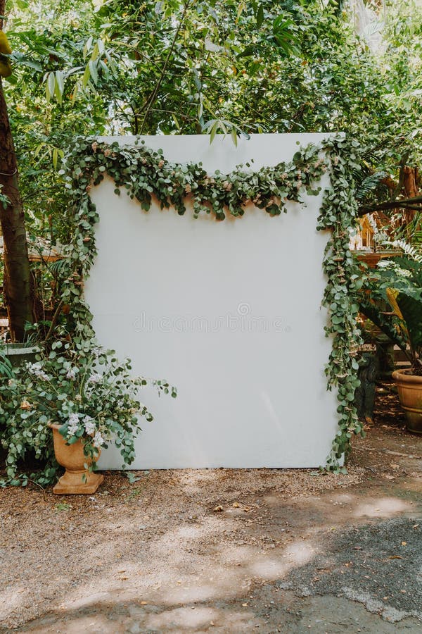 Empty White Backdrop for Copy in Garden Stock Photo - Image of park ...