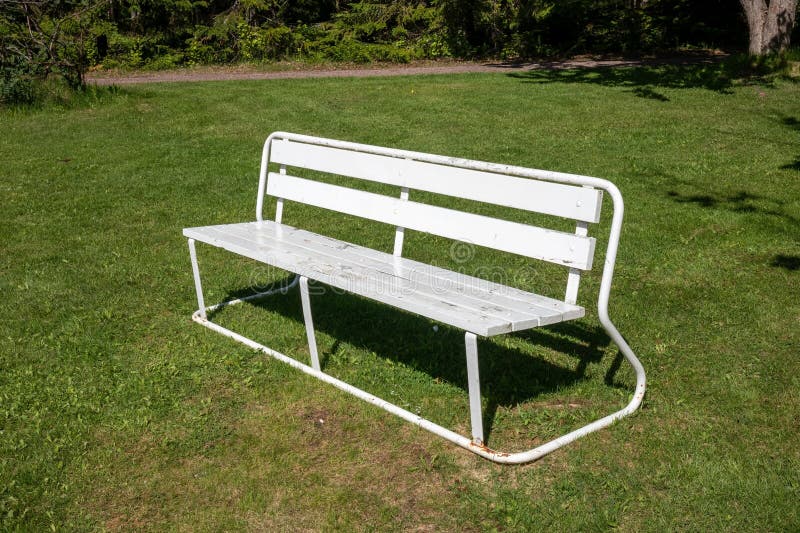 Empty White Bench in the Sunny Park Stock Photo - Image of tree, rest ...