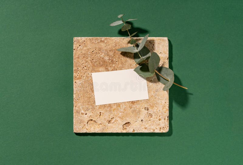 Wedding Invitation Mockup, Blank White Card on Green Eucalyptus Branch ...