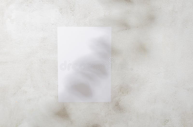Empty White Card with Blur Shadow of Leaves on Textured Background ...