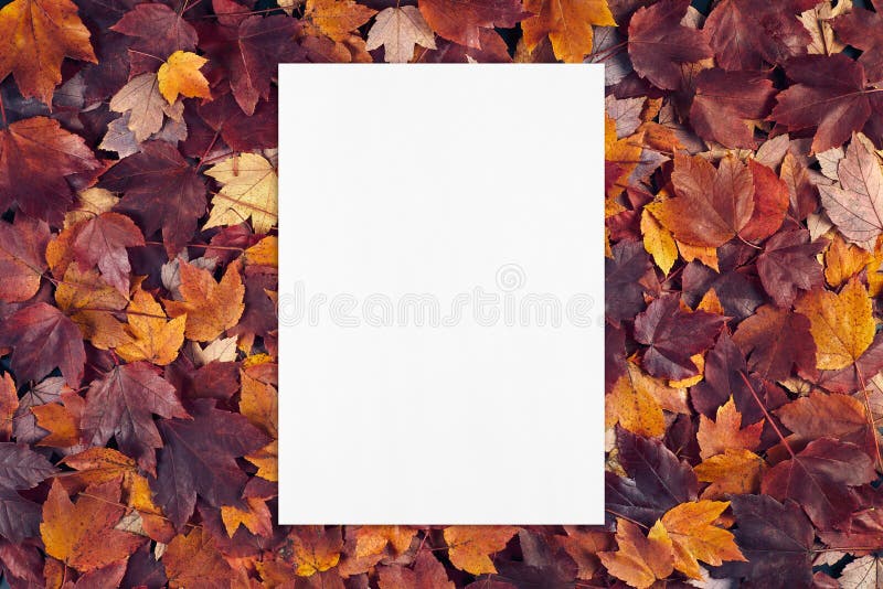 Empty White Card Mockup on Fall Leaves Texture Background. Stock Photo ...