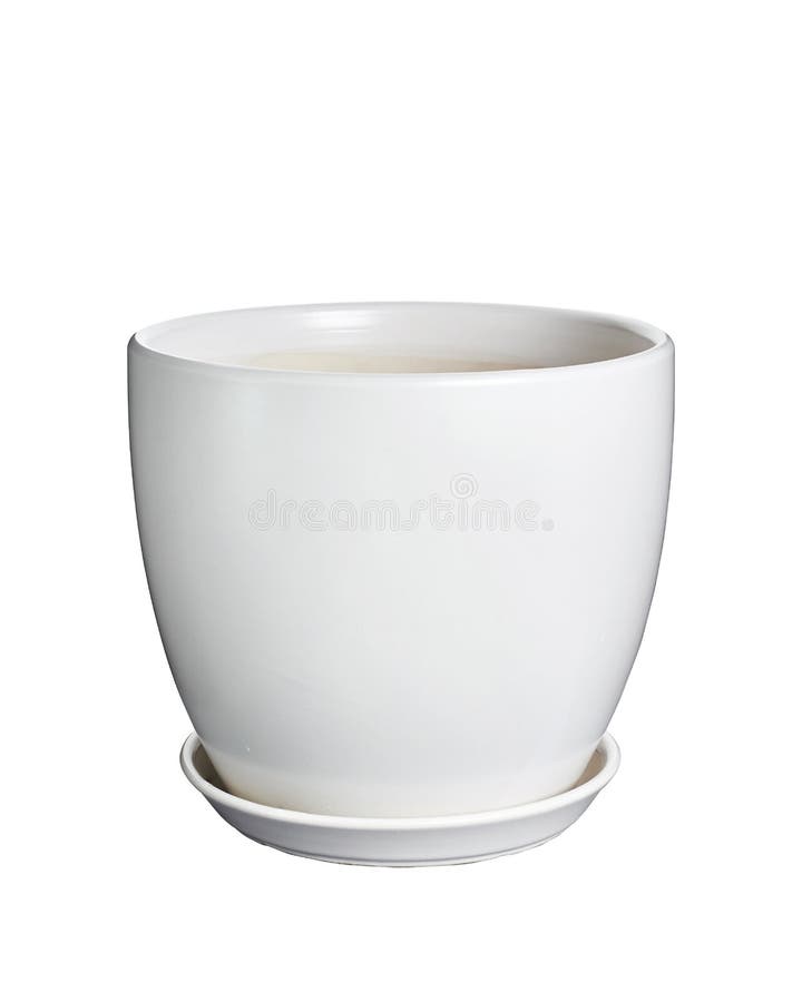 Aglaonema Plant in White Pot Isolated on White Background Stock Photo ...