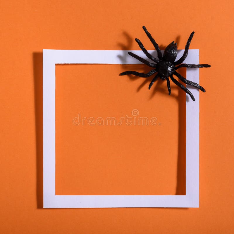 Empty White Frame with Scary Black Spider on Orange Paper. Halloween ...