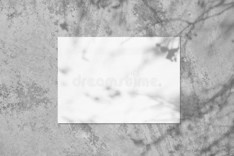 Empty White Horizontal Rectangle Poster Mockup with Soft Tree Leaves ...