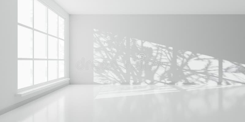 Empty White Interior Room with Sun Shining Thru Large Window, Tree ...