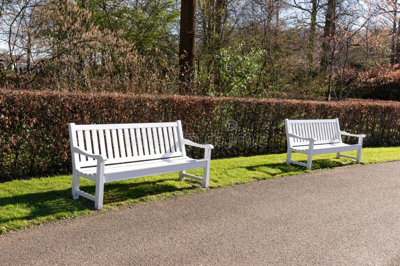 Empty White Park Benches in the Park Stock Image - Image of landscape ...