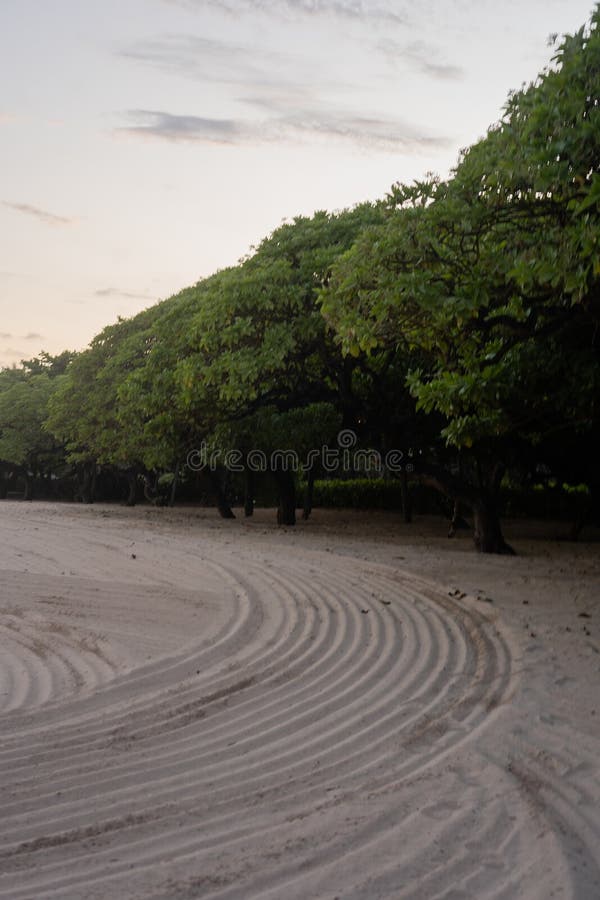 Empty White Sand Beach with Forest Stock Image - Image of empty ...