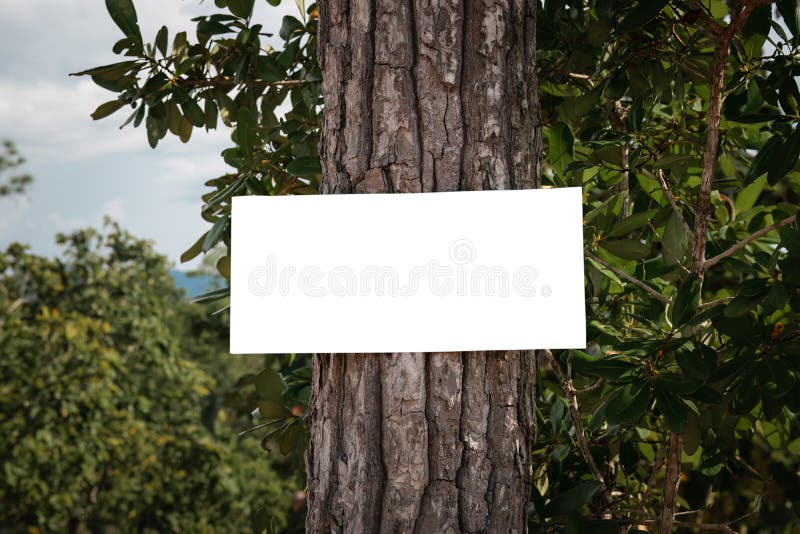 Empty White Sign with Clipping Path on a Tree in Tropical Forest Stock ...