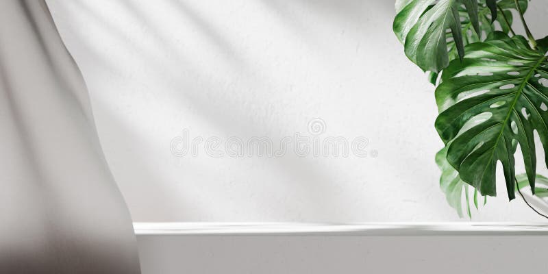 Empty White Table with House Plant Decor, Curtains and Window Light ...