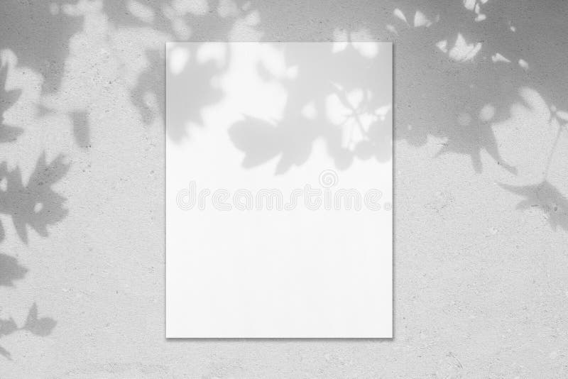 Empty White Vertical Rectangle Poster Mockup with Leaves Shadows Stock ...