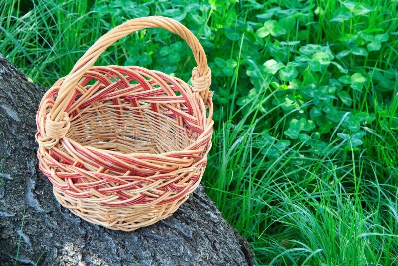 Basket with Fallen Leaves, Pumpkins and Burning Candles on Dining Table ...