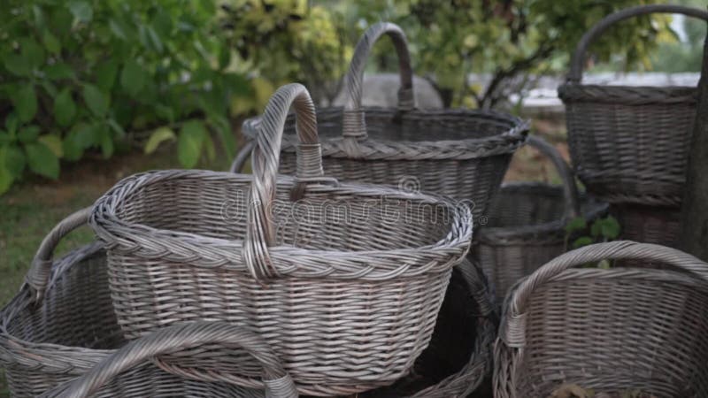 Empty Harvest Baskets Stacked Under the Tree Stock Footage - Video of ...