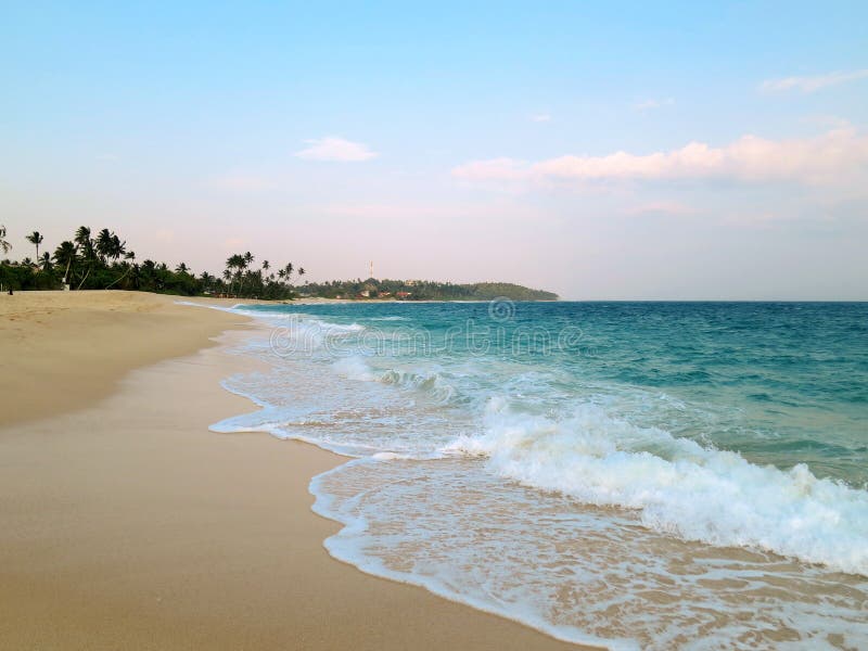 Empty Wide Clean Beach with Palms, Mirissa, Sri Lanka Stock Photo ...