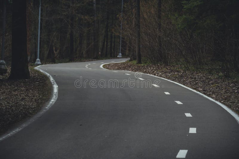 Empty Winding Asphalt Road through Forest in Early Spring Stock Photo ...