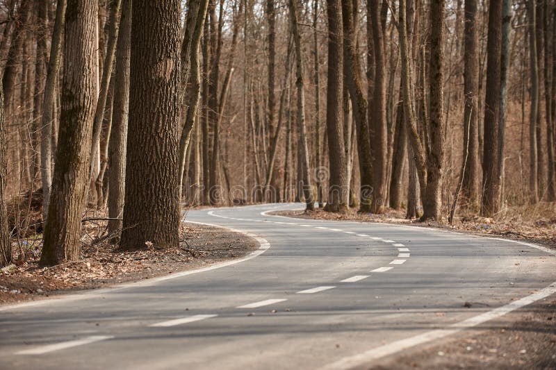 Empty Winding Road in the Forest at Spring Time Stock Image - Image of ...