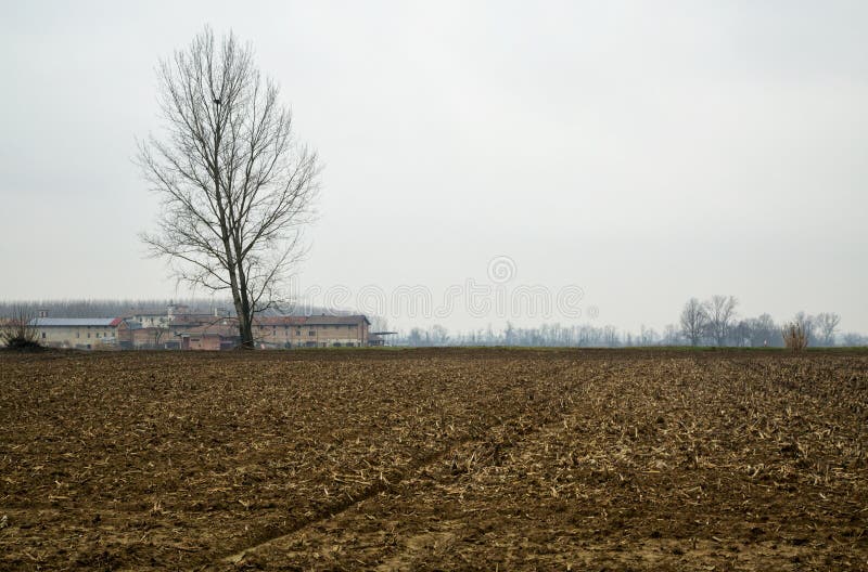 Empty Winter Fields Naked Tree Stock Photos - Free & Royalty-Free Stock ...