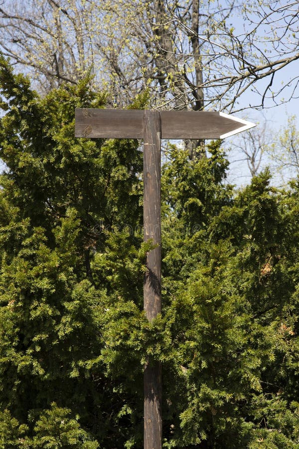 Wooden Arrow Signs at the Tropical Beach by the Ocean. Generative Ai ...