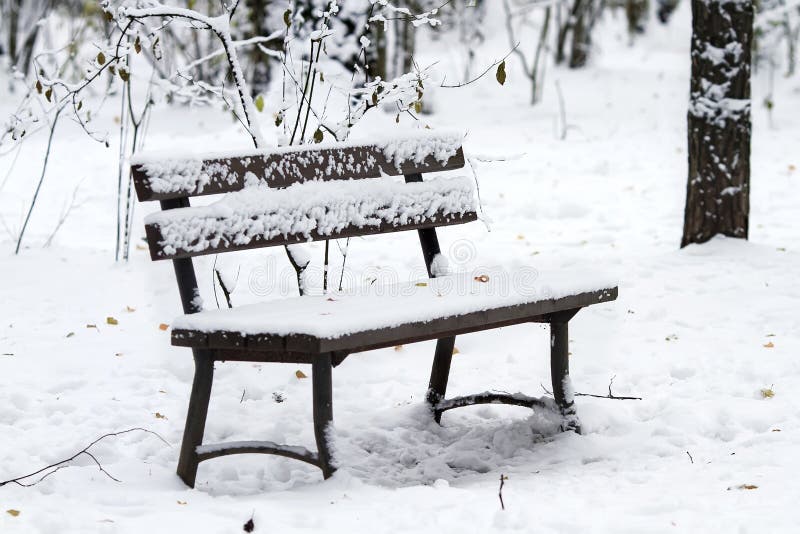 Empty Wooden Bench in Park in Winter is Covered with Snow Stock Photo ...