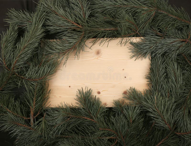 Empty Wooden Board on a Background of Pine Branches. Stock Photo ...