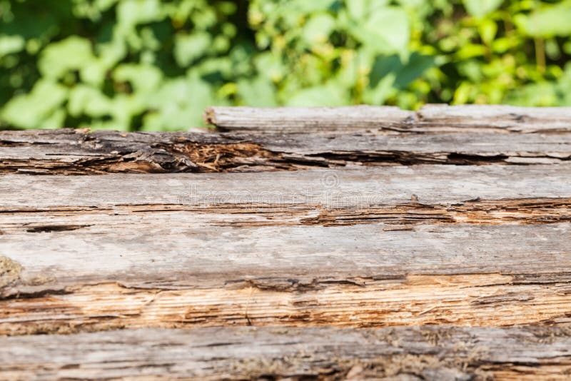 Empty Wooden Board in the Garden Stock Image - Image of blur ...