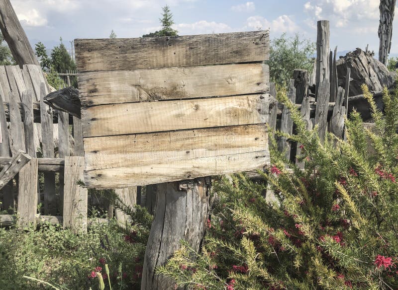 An Empty Wooden Board at Garden Stock Image - Image of timber, panel ...