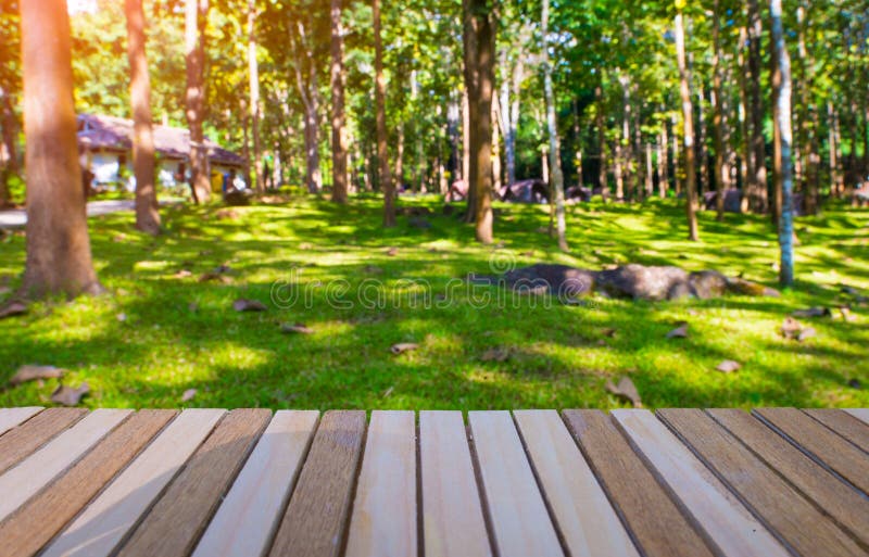 Empty Wooden Deck with Park on Holiday Stock Photo - Image of joint ...
