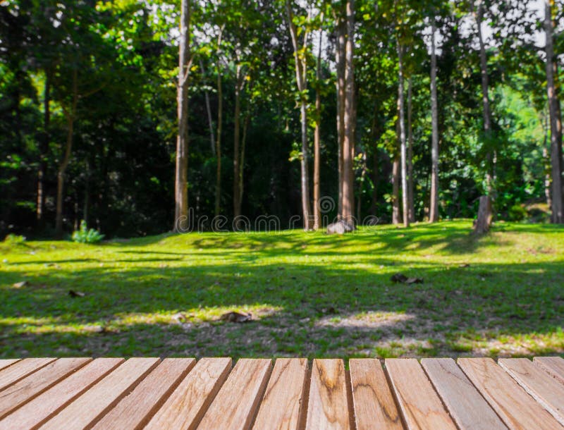 Empty Wooden Deck with Park on Holiday Stock Image - Image of autumn ...