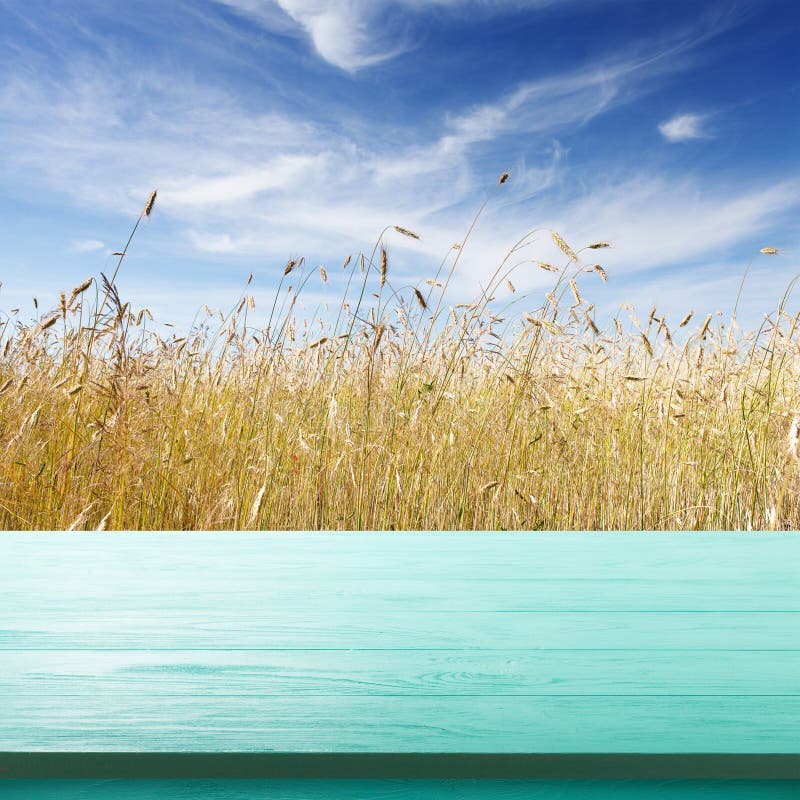Empty Wooden Deck Table with Summer Landscape Background. Ready for ...