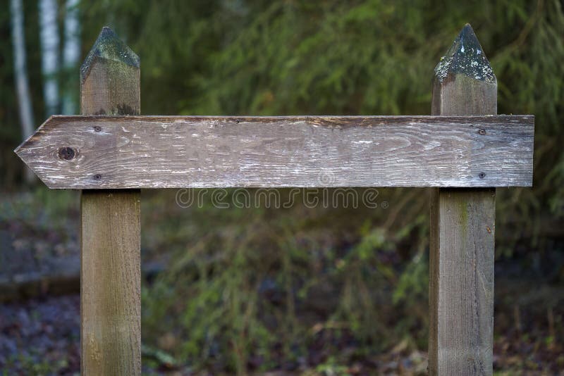 Empty Wooden Directional Sign in the Woods Stock Photo - Image of ...