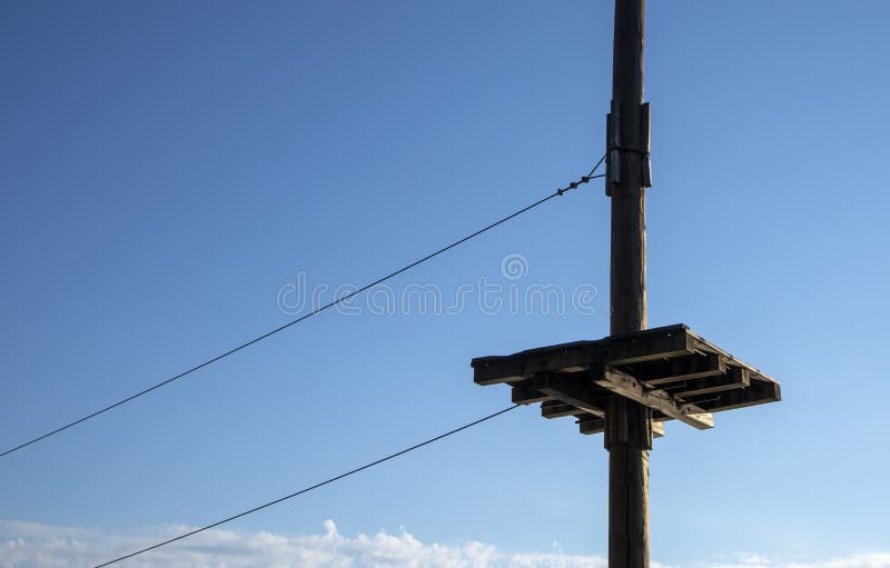 Empty Wooden Pole and Wires in an Outdoor Activity Park Stock Photo ...