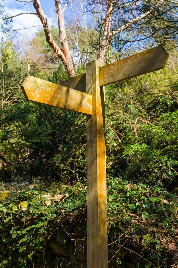 Empty wooden road sign stock image. Image of environment - 56837677