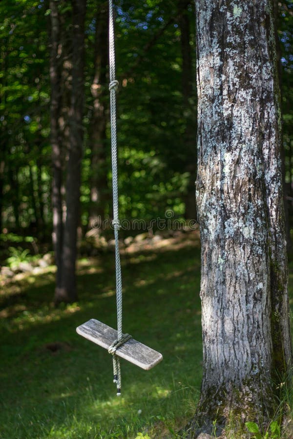 2,342 Empty Wooden Tree Swing Stock Photos - Free & Royalty-Free Stock ...