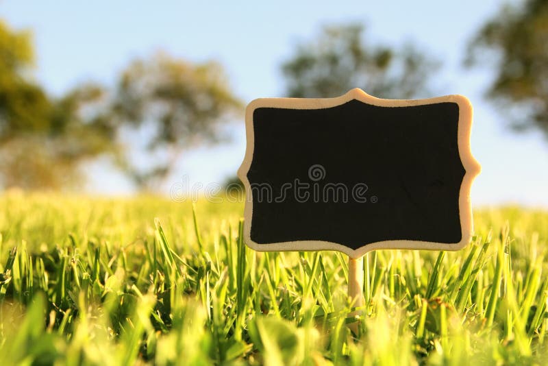 Empty Wooden Sign in the Forest, Garden or Park Stock Photo - Image of ...