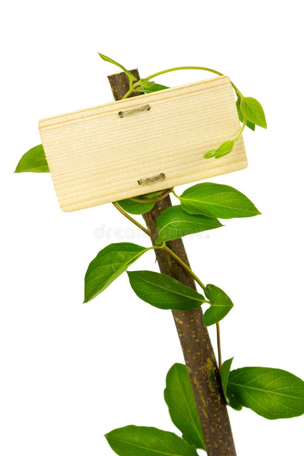 Empty Wooden Sign for Message with Green Plant Stock Image - Image of ...