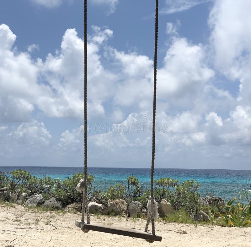 Empty Wooden Swing Hanging by the Beach Stock Image - Image of view ...