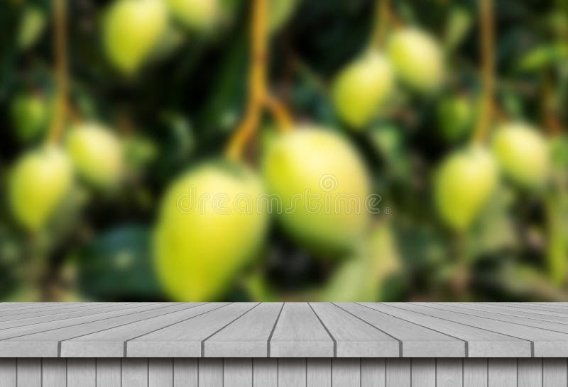 Empty Wooden Table with Blur Mango Farm Background Stock Photo - Image ...