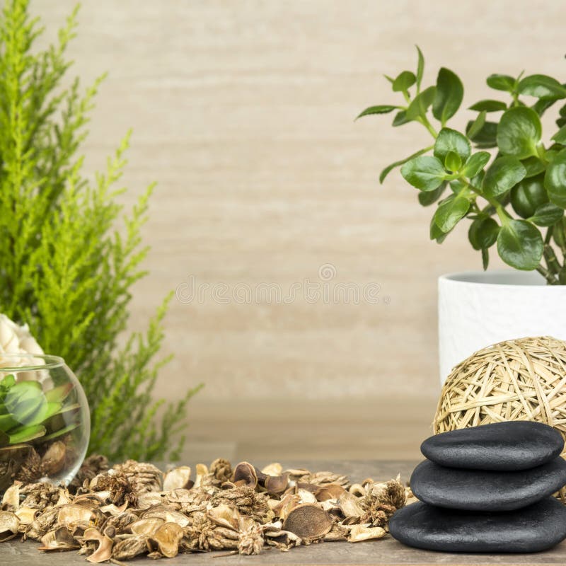 Empty Wooden Table Decorated with Organic Things, Stones, Plants Stock ...