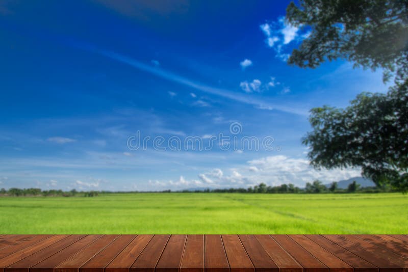 Empty Wooden Table with Rice Field Stock Photo - Image of nature, home ...