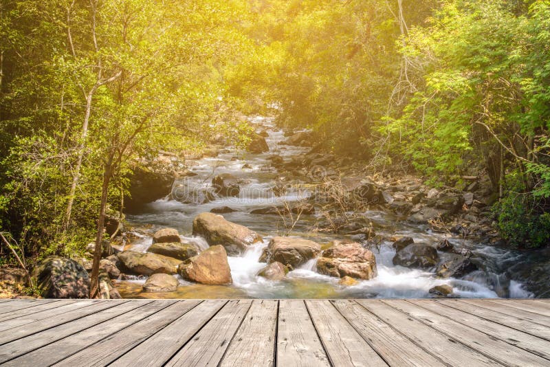 Empty Wooden Terrace with Stream in Forest Stock Photo - Image of empty ...