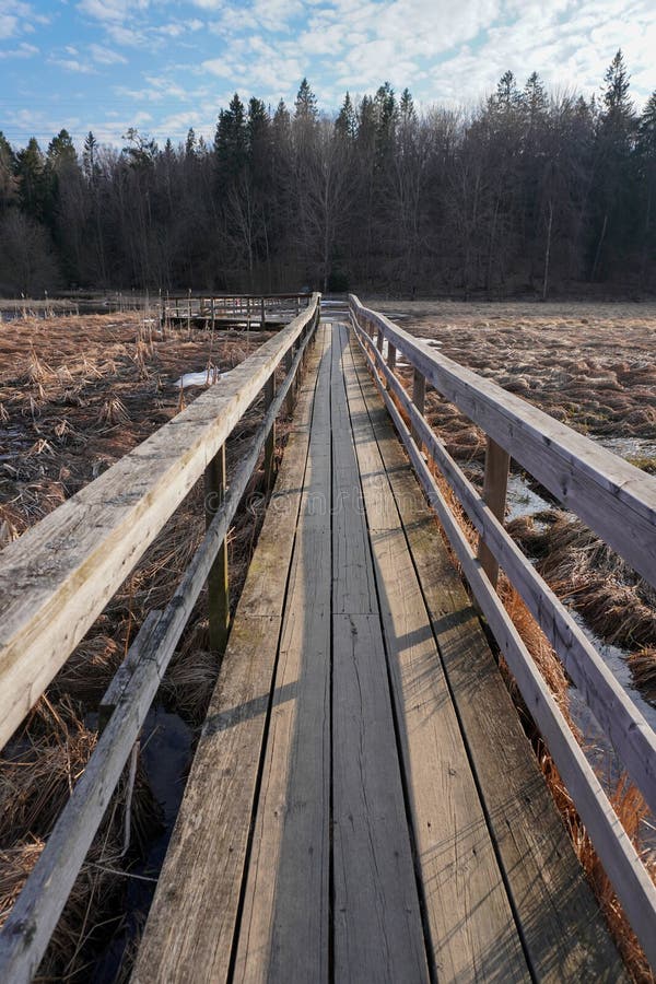 Empty Wooden Walk Path Over a Field Stock Photo - Image of thoroughfare ...